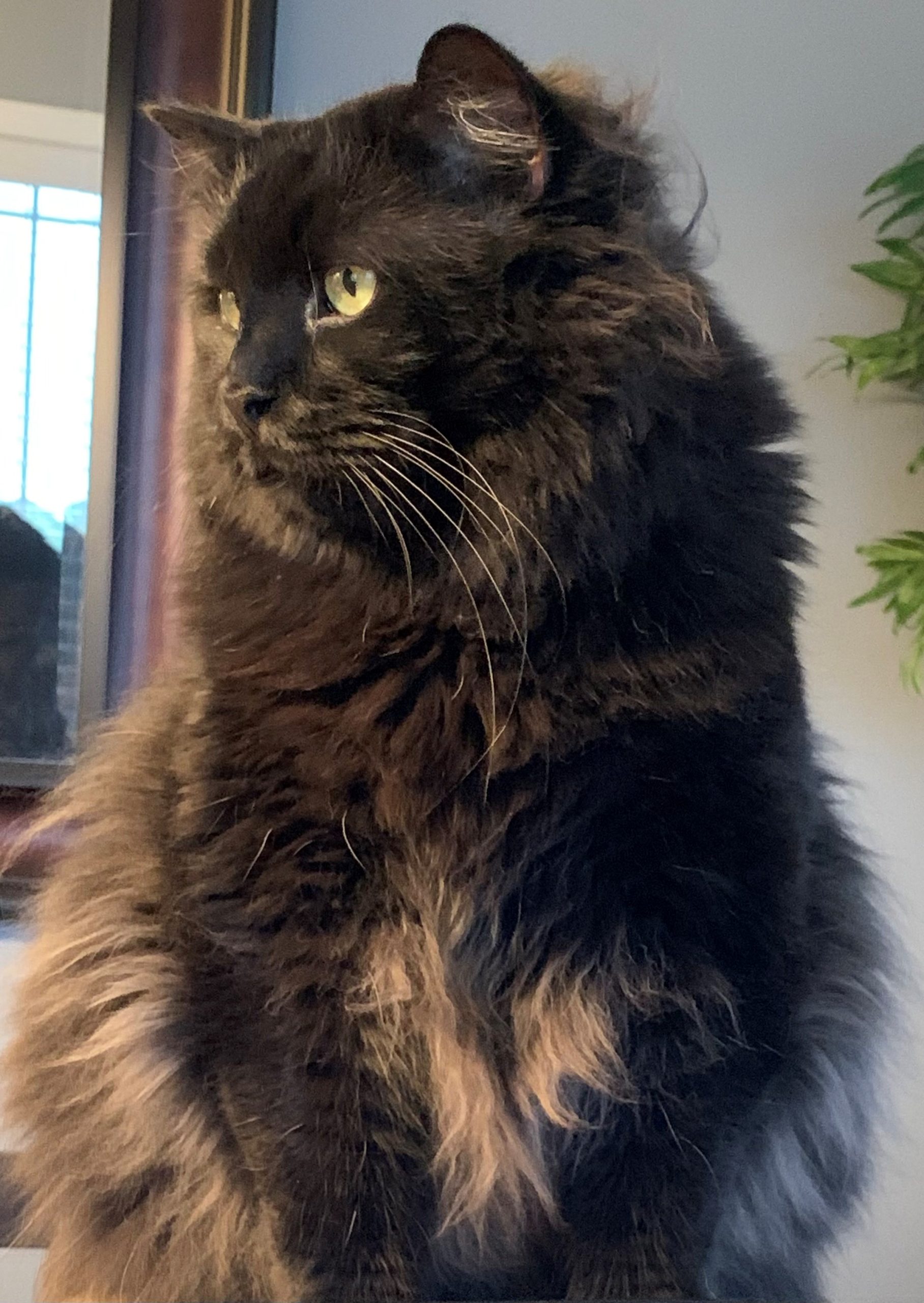 MPH – General Track | Degree Tracks | Department of Epidemiology